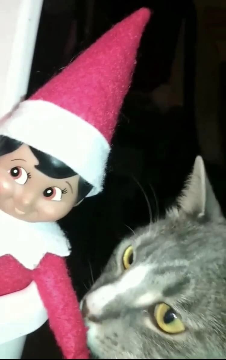 S'more Tube! - The Christmas Shoppe